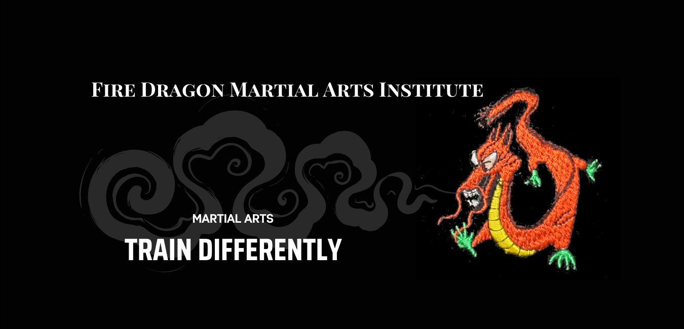 Fire Dragon Martial Arts Institute – Train Differently